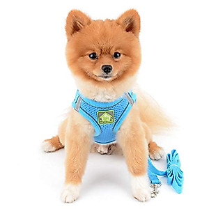 SMALLLEE_LUCKY_STORE Comfort Puppy Harness and Leash,Soft Mesh Step-in Harness for Small Medium Dogs Cat Reflective Safe Walking,Blue,Size M