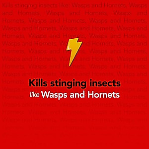 Raid Max Foaming Wasp & Hornet Killer, Fast Coverage Foam, Bug Killer Kills The Entire Nest, 16.5 oz