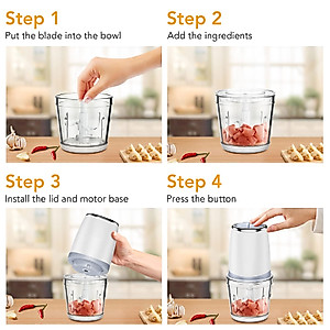 Electric Food Chopper with 2.5 Cup Glass Bowl, Mini Food Processor for Vegetables Meat Fruits Nuts Puree - 2 Speed Kitchen Food Processor With Sharp Blades, 300W