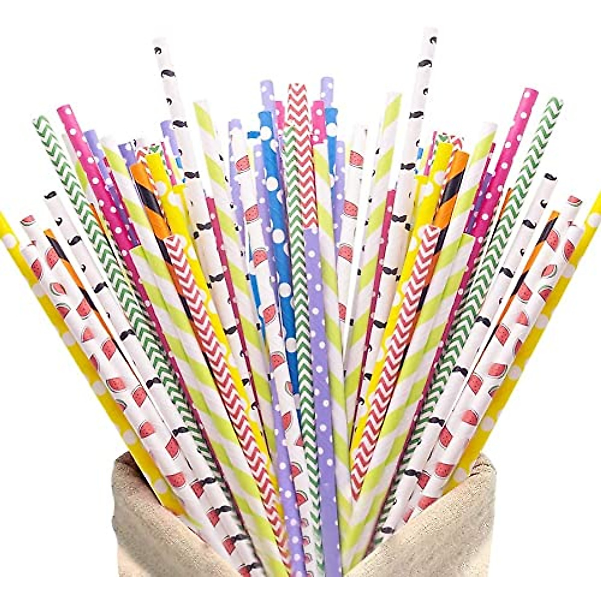 HAKACC 200 Pack Biodegradable Paper Straws for Drinking, 10 Different Pattern Party Straws for Birthday Wedding and Holiday DIY Decorations