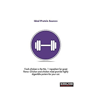 Kirkland Signature Super Premium Maintenance Cat Food