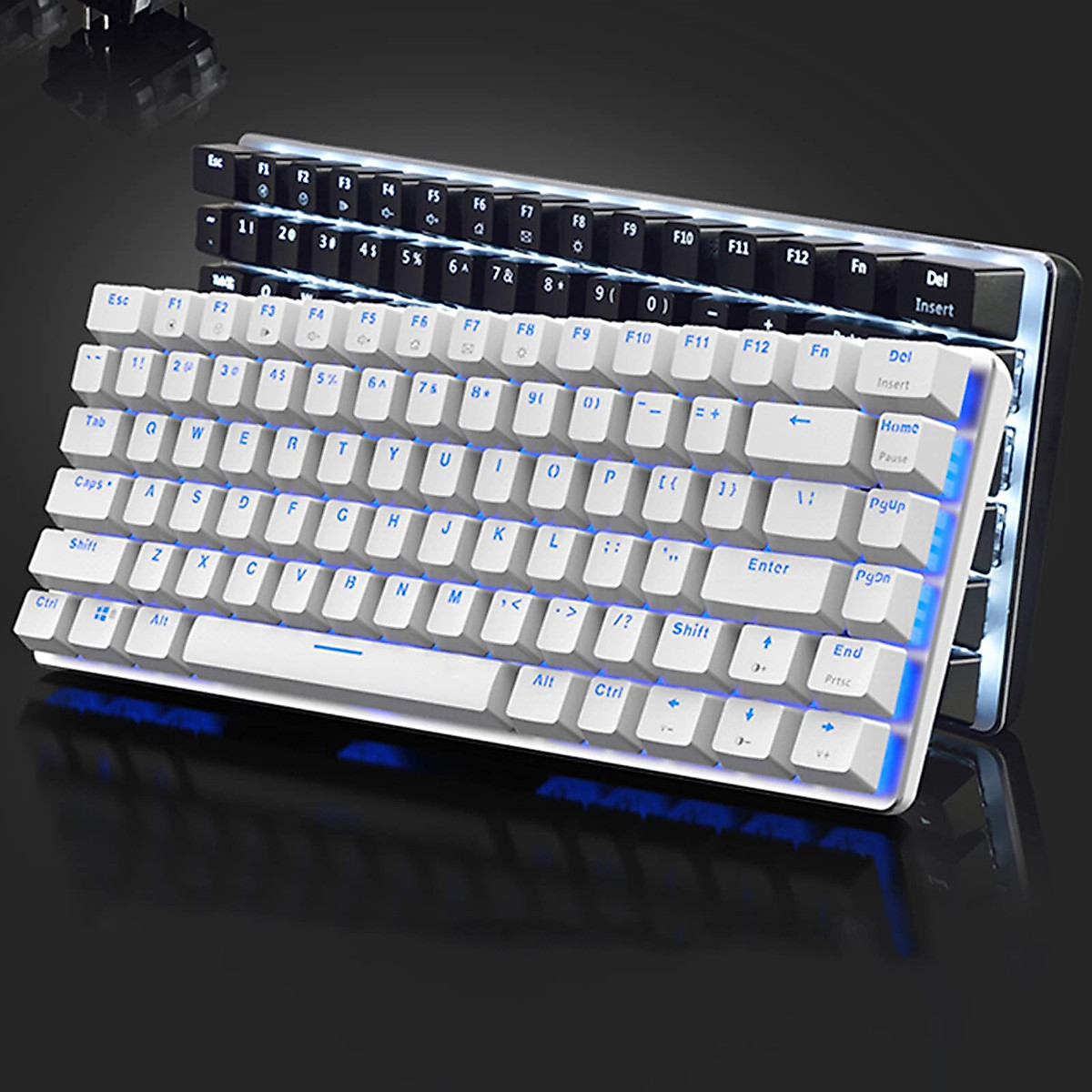 Lomiluskr AK33 Wired Mechanical Keyboard, 82-Keys Compact Mechanical Gaming Keyboard with Anti-ghosting Keys, Small and Portable (Blue Switch/Blue Backlight, White)