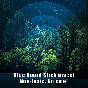 32 Pack Fly Trap Refill Compatible with Safer Home SH502, BAIMNOCM Plug-in Trap, Dynatrap DT3005W Dot