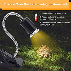 Catcan 50W Reptile Heat Lamps, UVA UVB Reptile Light with 2 Heat Bulbs, 360°Rotatable Clips Adjustable Switch Heat Lamp for Turtle Lizard Snake Aquarium Amphibian Yellow Light