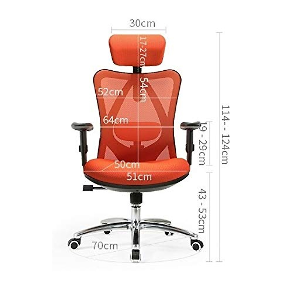HOUKAI Executive Office Chair - High Back Office Chair with Footrest and Thick Padding - Reclining Computer Chair with Ergonomic Segmented Back, Black