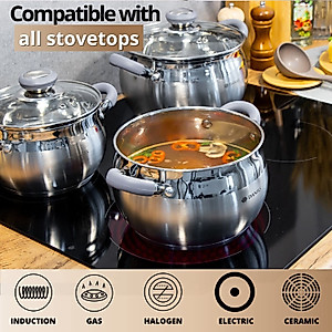 Daniks 6-Piece Stainless Steel Induction Pot Set