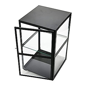 Creative Co-Op Metal & Glass Display 1 Shelf, Black Cabinet