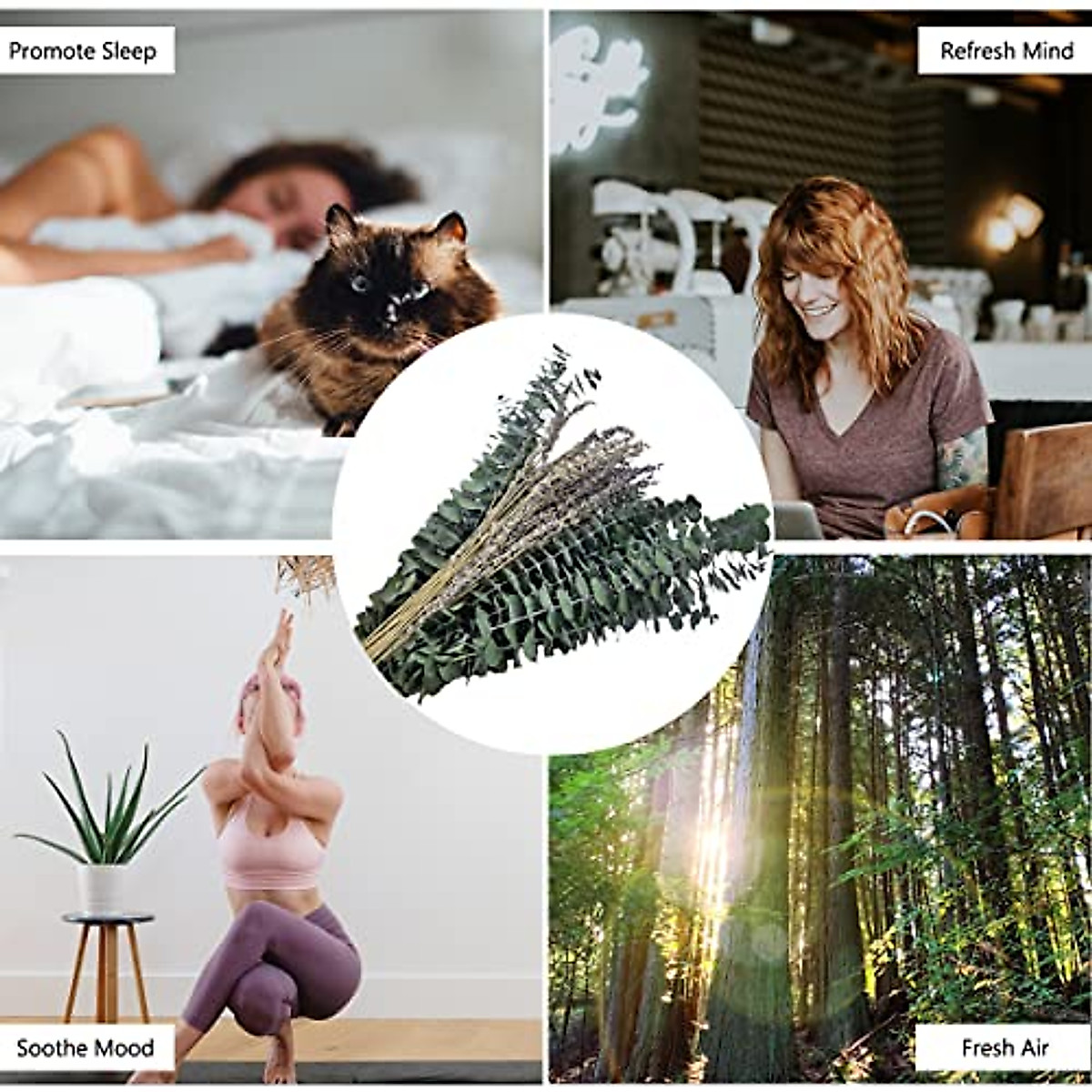 125 PCS Preserved Dried Eucalyptus Stems Bundles with Dried Lavender for Shower, 17'' Natural Shower Eucalyptus Leaves Hanging Lavender Shower Plants for Home Spa Fragrance Aromatherapy Bathroom Decor