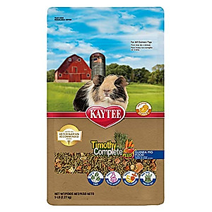 Kaytee Timothy Hay Complete Plus Fruits And Vegetables Guinea Pig Food, 5-Lb Bag
