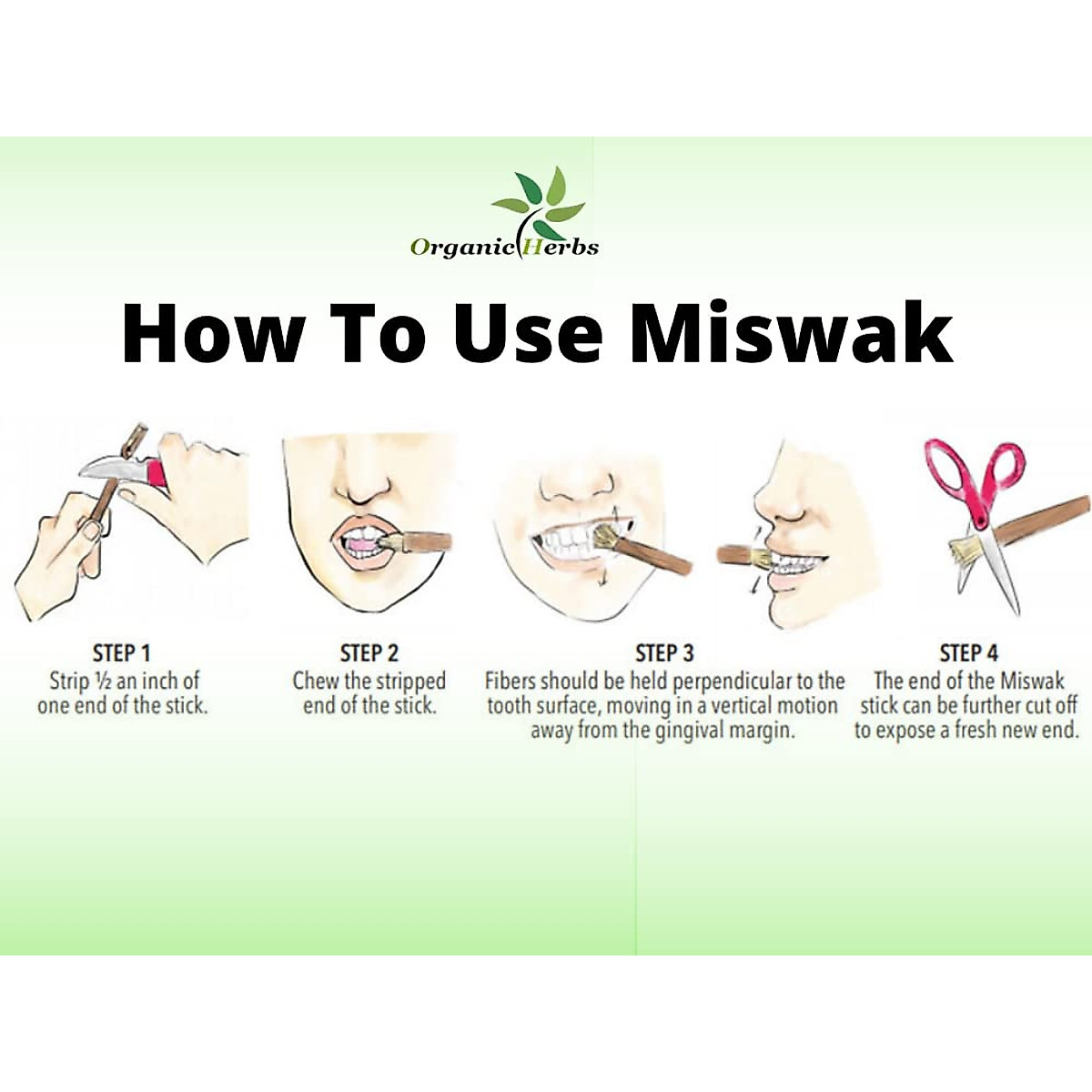 Organic Herbs Traditional Natural Miswak (sewak) Peelu Chewing Stick Toothbrush for Whiter Teeth (Pack of 3)