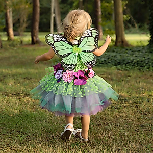 Great Pretenders Fairy Blooms Deluxe Dress with Wings, Green, Medium