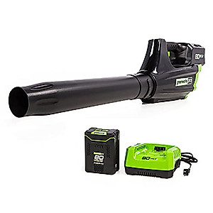 Greenworks Pro 80V (125 MPH / 500 CFM) Cordless Axial Leaf Blower, 2.0Ah Battery and Charger Included GBL80300