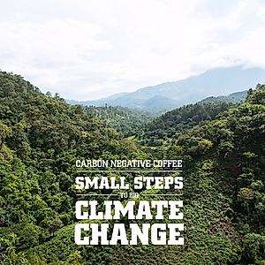 Tiny Footprint Coffee - Organic Cold Brew & Press Elixir | Blend of Light & Dark Roasts | Shade-Gown Ground Coffee, Carbon Negative, 16 Ounce