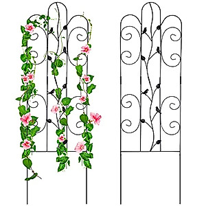 XYADX Metal Garden Trellis for Climbing Plants & Roses 61''x 18.5" Plants Support Rustproof Sturdy Leaves Garden Trellis for Vegetables Trellis for Potted Plants Pack of 2 - Black