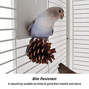 10Pcs Natural Pine Cones, Pinecone Decor, Bird Chewing Toys, Pet Bird Birdcages Hanging Tearing Toys with fixing nuts and washers for Parakeet Cockatiel Conure African Grey Lovebirds Budgies Cockatoos