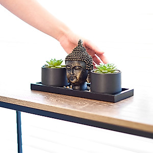 Buddha Statue & Succulent Zen Garden Set- Buddha Head Statue w/ Wooden Display Tray & Stones| Buddha Decor For Home Decor. Beautiful & Peaceful. Great Meditation Gifts.
