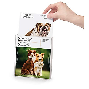 Dog Page-A-Day Gallery Calendar 2021