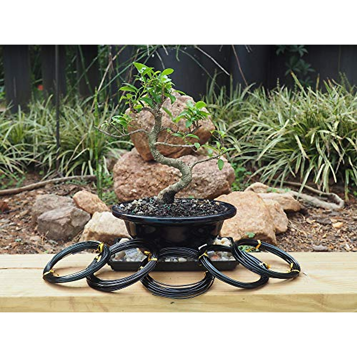 Anodized Aluminum Bonsai Training Wire 5-Size Starter Set with Canvas Bag - 1.0mm, 1.5mm, 2.0mm, 2.5mm, 3.0mm (147 feet total) - Choose Your Color (5 Sizes, Black)