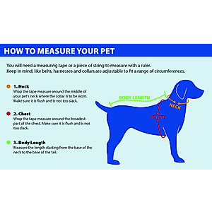 NHL BOSTON BRUINS Tee Shirt for DOGS & CATS, Small. - Are you a HOCKEY FAN? Let your Pet be an NHL FAN too!