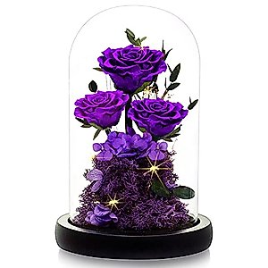 DENIMOMO Preserved Rose Gifts for Mom Wife Grandma Forever Real Roses in Glass Dome,Beauty and The Beast Rose Flowers,Thanksging Anniversary Birthday Gifts/Purple