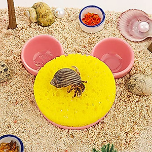 DQITJ 10 Pcs Hermit Crab Sponge, Water Dish Sponge for Pet Hermit Crab Tank Humidity Supplies (Yellow)
