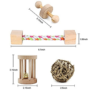 HWONMTE Hamster Toys Set, Guinea Pig Toy Natural Wooden Rabbit Bunny Rat Chinchillas Chew Toys Exercise Accessories for Small Animal Chewing and Teeth Care (9 Pack)