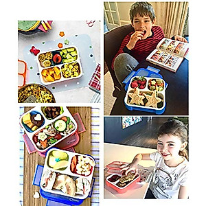 kinsho Bento Boxes for Kids, Lunch Box Set for Boys Girls Toddlers, Leakproof 3 Compartment Containers for Meal or Snack, For Pre-School Travel Work, BPA Free. Blue Orange 2 Pack Medium - Small