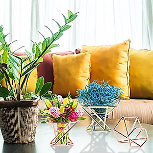 SanSanYa 12Pieces Mini Air Plant Stand Metal Geometric Air Plant Display Stand Geometric Air Plant Container Mini Air Plant Holders