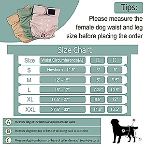 Grecle Washable Female Dog Diapers - Premium Reusable Diapers for Doggie in Heat - Highly Absorbent Dog Diapers Female for Pet Incontinence with Adjustable Snaps (Morandi, M)