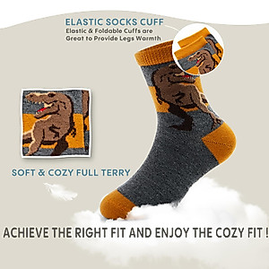 Lollisy Big Boys Wool Socks Kids Thick Winter Warm Socks Cartoon Thermal Crew Socks for Boys Dinosaurs 6 Pack Size 8-10 Years