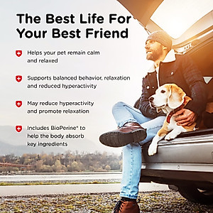 Nutri-Vet Hemp Calming Soft Chews for Dogs- with Chamomile and Melatonin - Peanut Butter & Honey Flavor - 12.7 Ounces