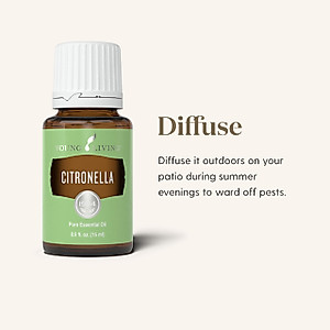 Essential Oil Citronella 15 ml Young Living Malaysia + Free Standard Shipping