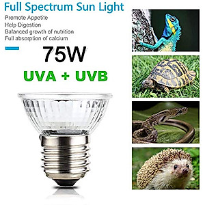 OMAYKEY 3-Pack 75W UVA + UVB Full Spectrum Sun Lamp Sunbathe Heat Lamp/Bulb/Light for Lizard Reptiles and Amphibians