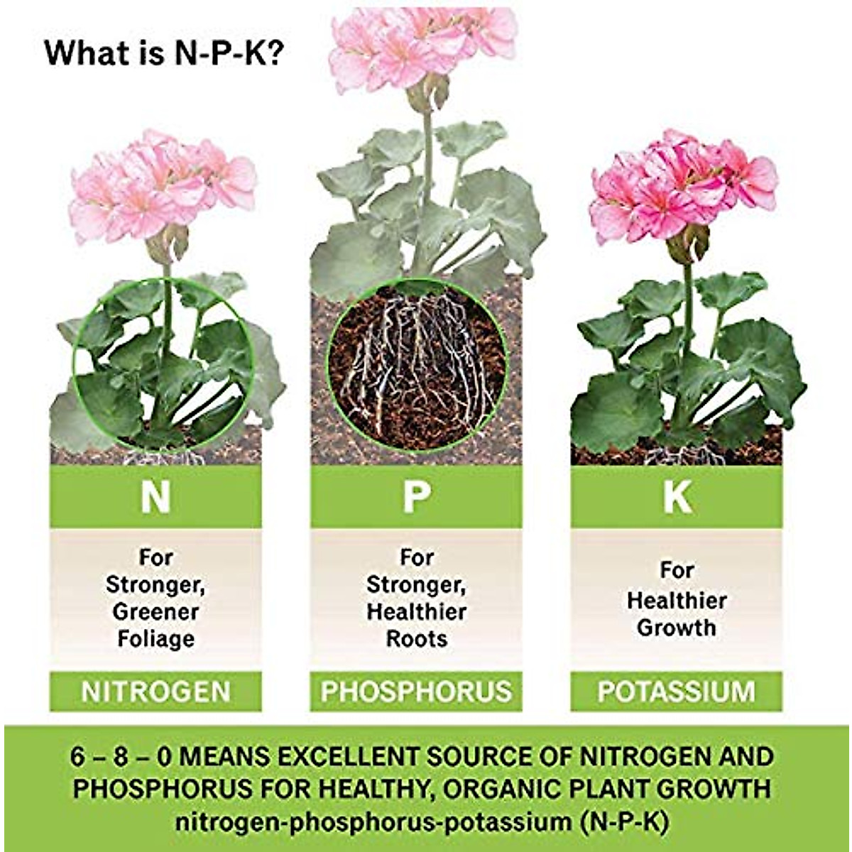 Burpee 99822 Organic Bone Meal Fertilizer, 2 Pack