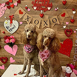 Valentines Day Dog Bandana 2 Pack - Triangle Bibs Pet Scarf for Small Dogs Puppy Cat