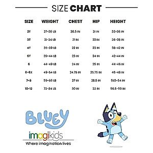 Bluey Toddler Girls Skater Dress Pink 4T