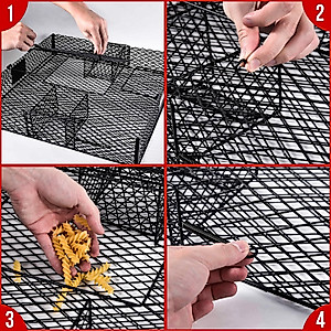 Squirrel Trap (No Bottom Tray) - Ideal for Chipmunks and Squirrels, Metal Construction, Holds up to 25 Squirrels, 2 Traps