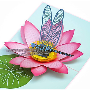 PopLife Blue Dragonfly and Lotus 3D Pop Up Card - Mother's Day, Valentine's Day, Birthday, Thank you, Get Well, Anniversary - for Friends, Sister, Wife, Grandma, Daughter, Girlfriend