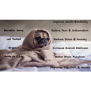 (2 Packs) Benefita Hemp Pet Oil for Dogs and Cats. Anxiety, Stress, Pain, Inflammation, Skin, Allergies, Relief Joint Hip, Arthritis, Sleep Aid, Calming Effect, Oil Dropper Organic Extract, amber