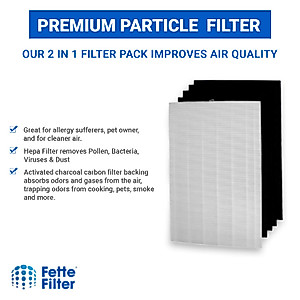 Fette Filter -Premium True Hepa H13 Filter Replacement Compatible with Fellowes AeraMax 190/200/DX55 Air Cleaner Purifiers Part # 9287101 9324101 (2-Hepa + 8 Carbon Filters)