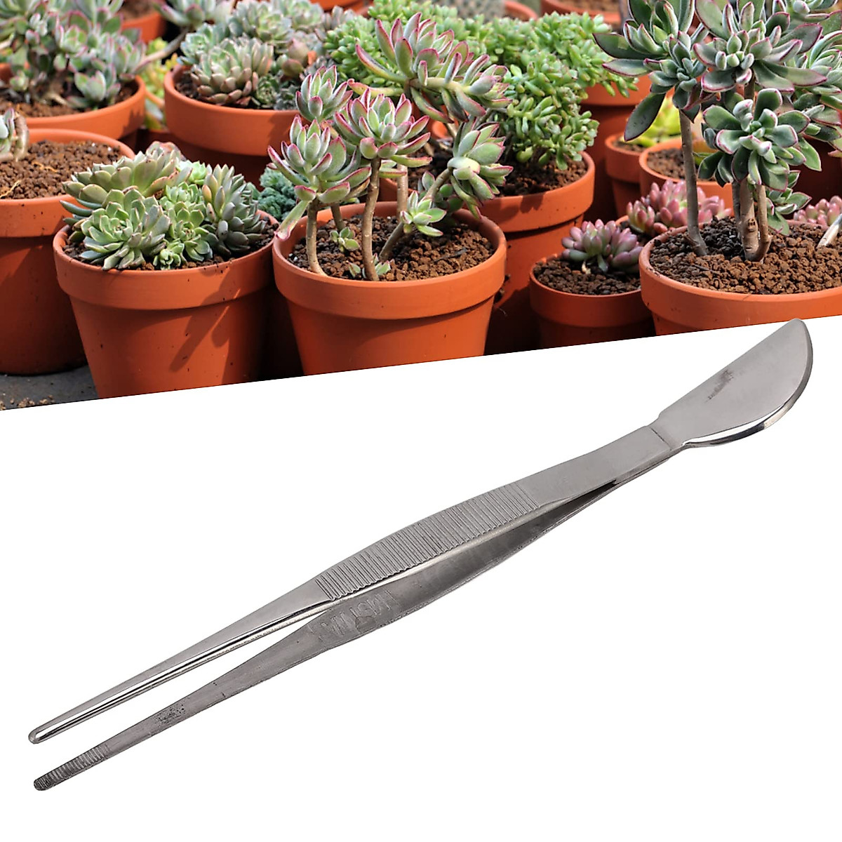 CHICIRIS Bonsai Long Tweezers, Garden Tweezers Bonsai, Stainless Steel Bonsai Tweezers Long Tweezers with Moon Spatula Head for Potted Loosening Soil Planing Grass (Straight)