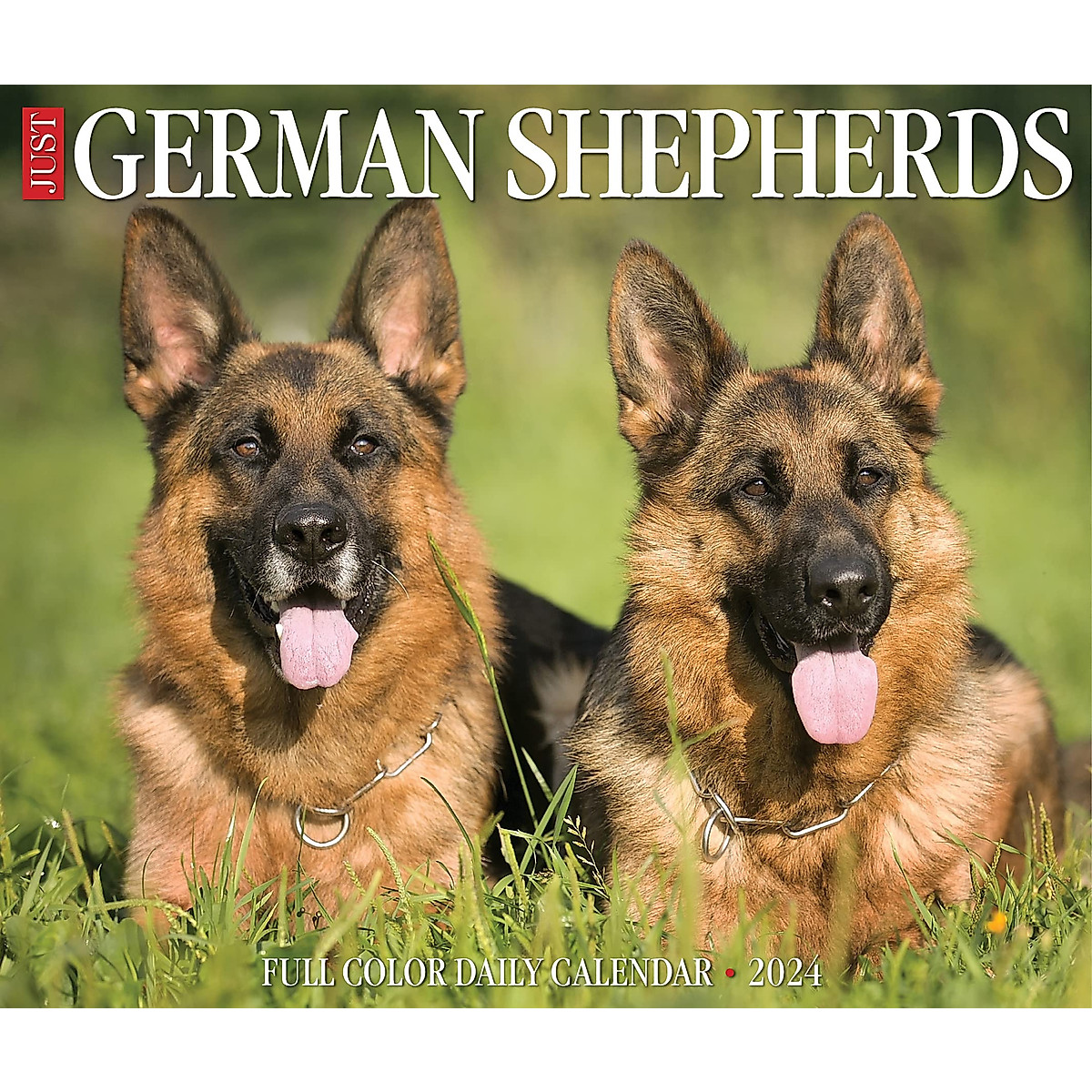Willow Creek Press German Shepherds Daily 2024 Box/Desk Calendar (5.86" x 4.72")