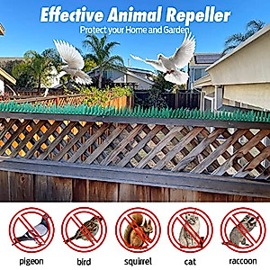 edola Bird Spikes for Outside 20 Pack, Squirrel Cat Dog Pigeon Deterrent, Plastic Animal Defender Spikes for Fence, Keep Cats Birds Away