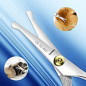 LILYS PET 5.0" Right-Handed Round-Tip Pet Grooming Scissors, Stainless Steel Small Ball Tip for Nose Hair,Ear Hair,Face Hair,Paw Hair for Dogs and Cats…