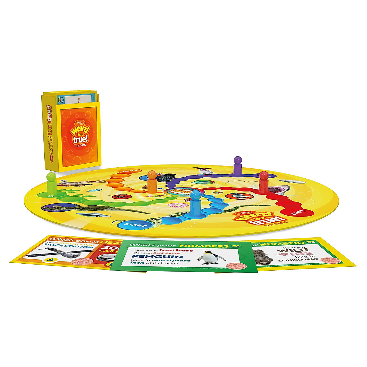 Buffalo Games - Weird But True Game