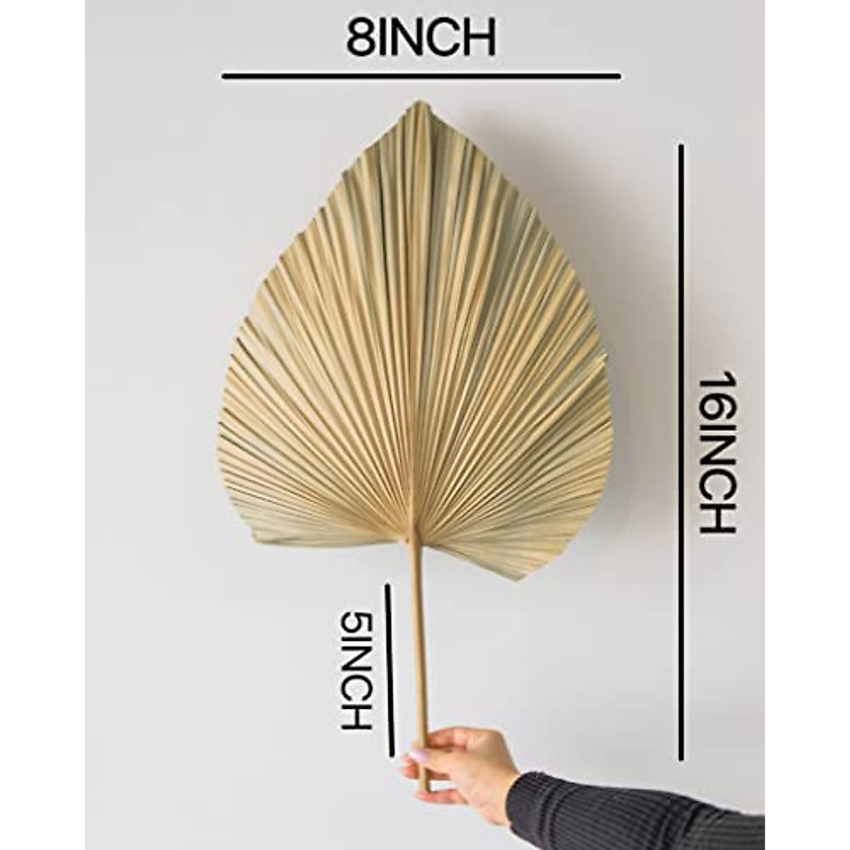 4PCS Pale Yellow Natural Dried Palm Leaves, 16"x8" Dried Palm，WAMPAR Hand-cut Heart-shaped Dried Palm Spear Bohe Decoration, Suitable for Bohe Wedding, House Party Decoration, DIY Flower Decoration