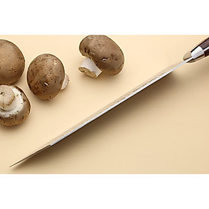 Yoshihiro VG-10 Hammered Damascus Kiritsuke Sword Tip Multipurpose Japanese Chef Knife 8.25 inch - Western Style Mahogany Handle