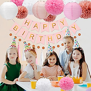 meowtastic Pink Birthday Party Decorations, Happy Birthday Banner with Tissue Pom Poms, Tassel Garland, Paper Lanterns, Circle Dot Garland, Pink and Rose Gold Happy Birthday Decoration for Women Girl