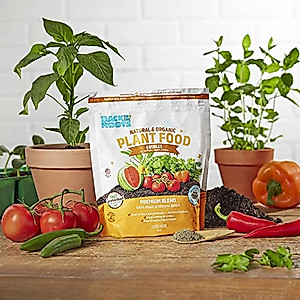 Back to the Roots Edibles Plant Food - Organic, Sustainably-Made Garden Fertilizer Made with Dolomitic Limestone, Mycorrhizae, and Kelp and Alfalfa Meal - 1.5 lb Premium Blend