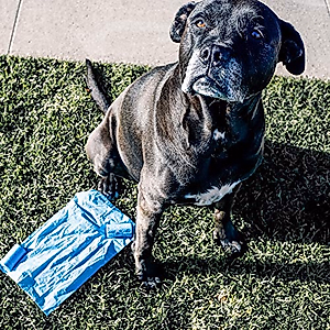 Wooflinen Dog Poop Bags | Certified Compostable Dog Waste Bags, Unscented, 240 Bags, Made from Corn | Large and Thick